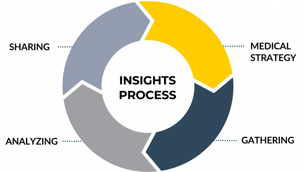 The Definitive Guide To Turning MSL Insights Into Impact